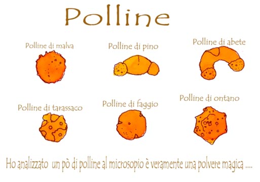 Televideo - Articolo Telesoftware