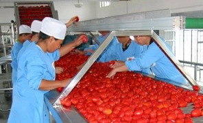 Televideo - ‘Ha primato export cibi contaminati in Europa’